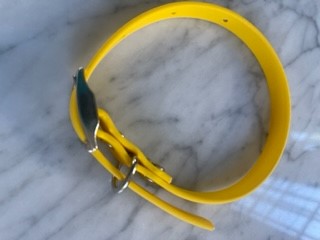 Biothane Collars – Tropical Canine Collars